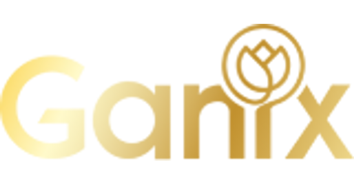 Terms & Conditions – Ganix